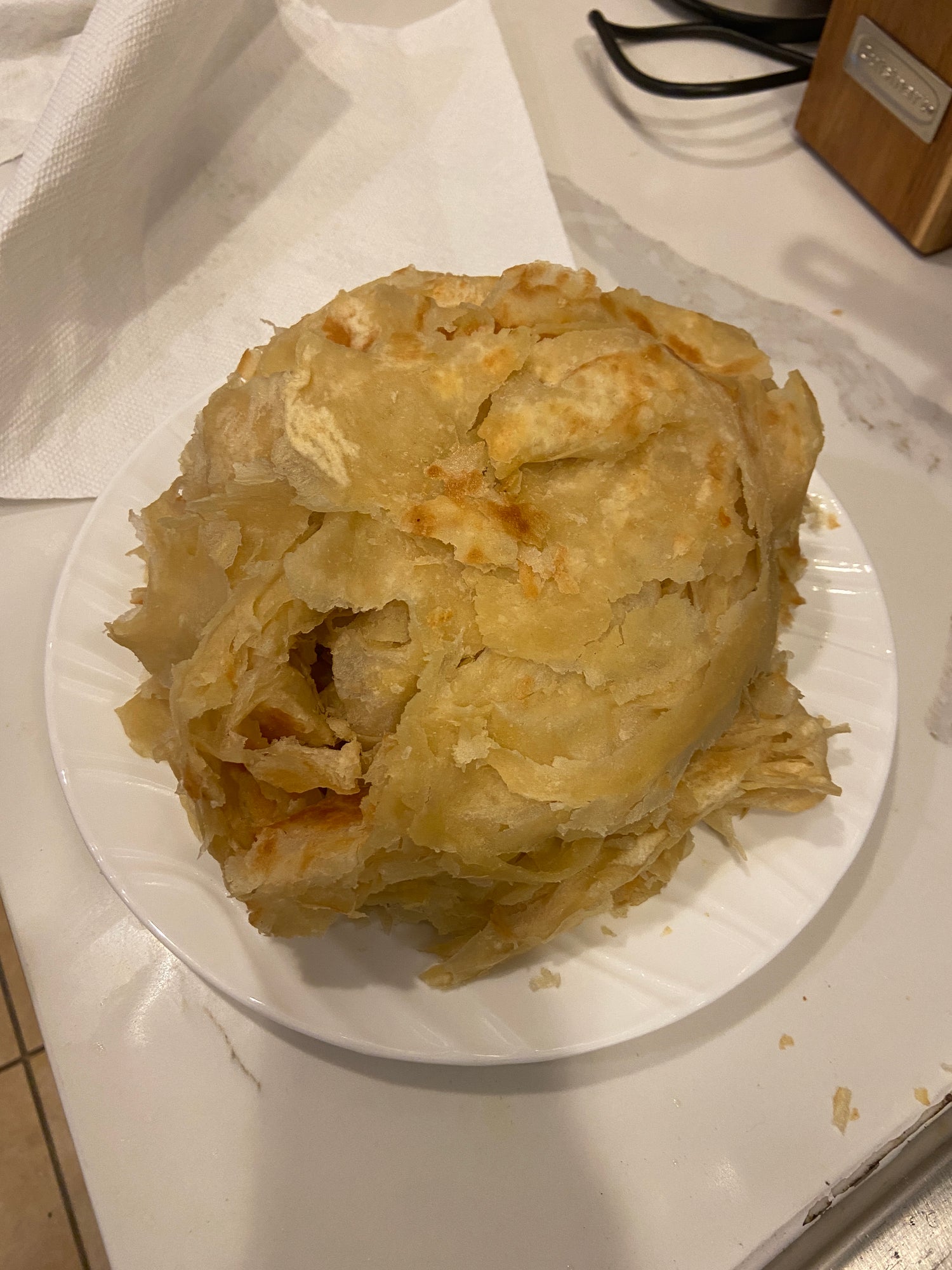 Buss Up Shut Roti - We Are Wonderfully Made